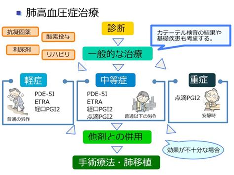 肺動脈性肺高血圧症（指定難病86） 難病情報センター