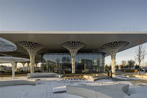 Organic Tree Like Columns Are Combined With Linear Canopy For