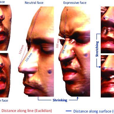 Examples Of Non Recognized Faces Each Row Illustrates From Left To