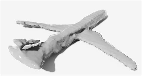 Fuzzy Output Of The DMTet Model Issue 642 NVIDIAGameWorks Kaolin