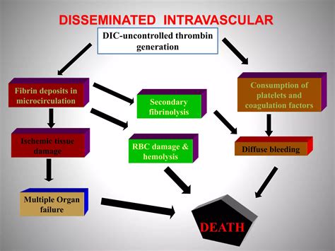 Coagulation Pathway Ppt