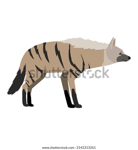 Aardwolf Hyena Seen Side View Flat 库存矢量图（免版税）2142313261 Shutterstock