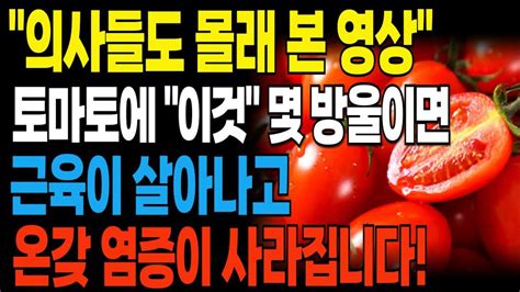 건강정보 이번 여름엔 토마토를 이렇게 드셔 보세요 근육 살아나고 온갖 질병이 사라 집니다 토마토와 같이 먹으면 안되는 식품 토마토와 같이 먹으면 좋은 식품 3