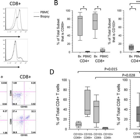 detection of cervix derived hsv 2 reactive cd8 t cells using