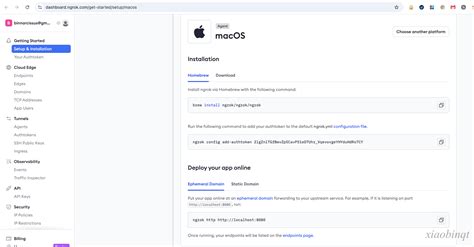 内网穿透工具 Ngrok Xiaobinqt 博客 技术改变生活