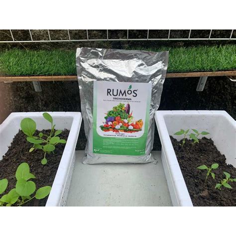 Jual Rumos Trichoderma Organik Premium Fungisida Hayati Untuk