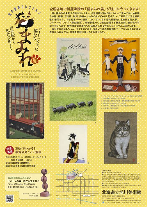 猫まみれ展 北海道立旭川美術館 Akio Ohmori