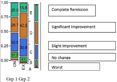 Mosaic Plot Showing The Various Stages Of Recovery Download
