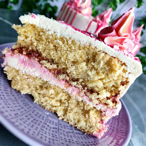 Vanilla Ice Cakes Coconut And Raspberry Cake Slice