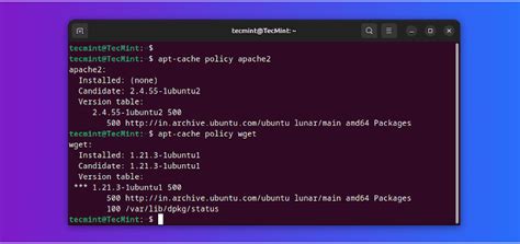 How To Use Apt Cache Command In Ubuntu And Debian