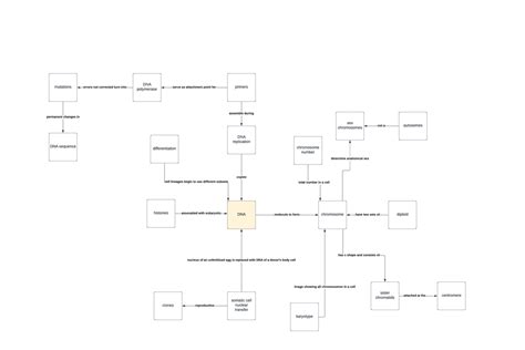 Chapter 7 Concept Map Clones Somatic Cell Nuclear Transfer Dna