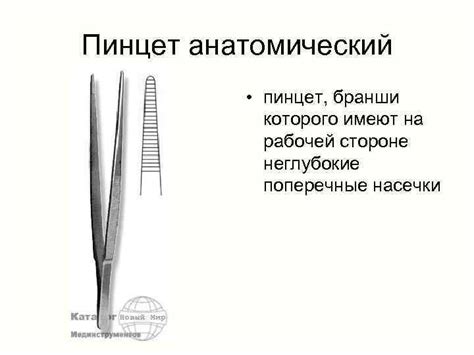 ГБОУ ВПО Красноярский государственный медицинский университет им проф