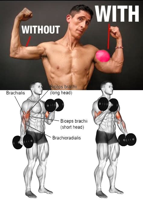 TOP 3 BICEPS DESTROYED