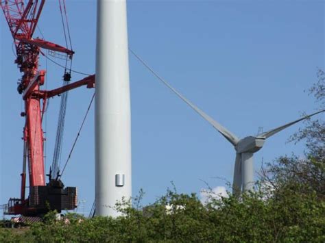 Environmental Auditor Green Careers Hub