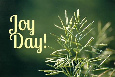 Unfailing Love Joy Day An Extraordinary Day