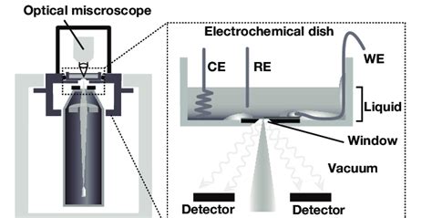 Schematic Illustration Of An A Sem Setup For In Situ Electrochemical