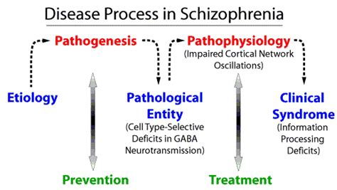 Pathophysiology Of Schizophrenia Nurseonlineph November 2014 Nle Results
