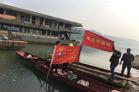 水生态所完成金沙江下游鱼类资源调查 水利部中国科学院水工程生态研究所