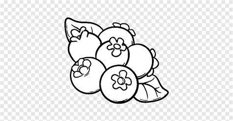 무료 다운로드 머핀 색칠하기 책 블루 베리 색칠 페이지 블루 베리 과일 각도 화이트 Png Pngegg