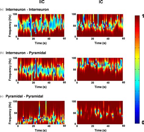 wavelet based phase synchronization index psi for representative nla