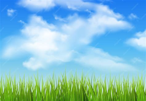 Premium Vector Blue Sky With Clouds Ans Grass Nature Background