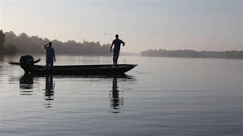 Gator Vs Python Swamp Mysteries 1x01 Tvmaze