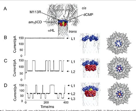 Purine Deoxyribonucleoside Triphosphate Biosynthetic Process Semantic