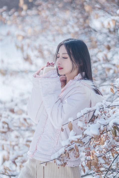 시카 사슴 설경 V2ph