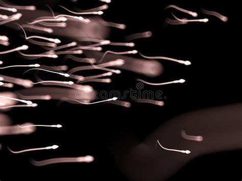 human sperm stock illustration illustration of concept 145656543