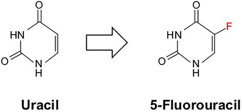 Chemical Structure Of Uracil And Its Chemical Mimic 5 Fluorouracil Download Scientific Diagram