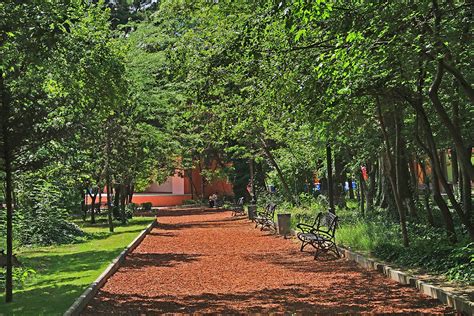მუშტაიდის ბაღი Mushthaid Garden Tbilisi Georgia Tbilisigovge