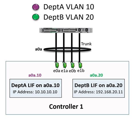Netapp Logical Interfaces Lifs Tutorial Flackbox
