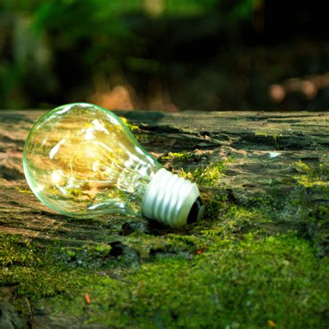 Sustainability Leed Ap Consultants Vital The Bms Recruitment