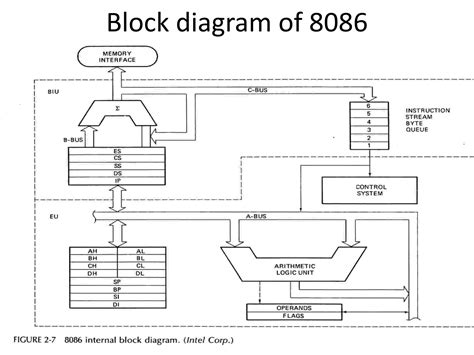 SOLUTION 8086 Block Diagram Studypool