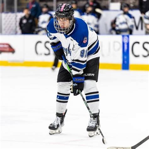 Alexander Allbee Stats Contract Salary And More