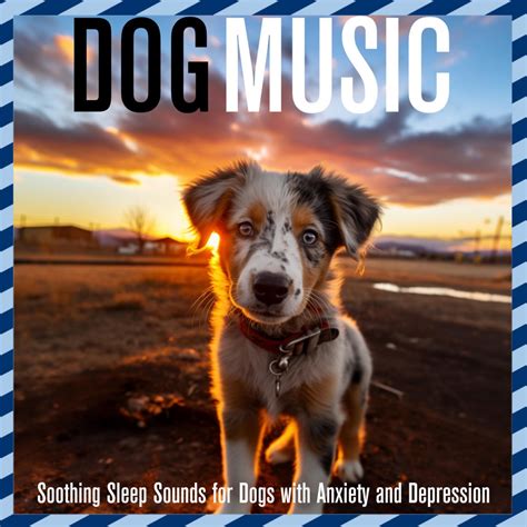 ‎dog Music Soothing Sleep Sounds For Dogs With Anxiety And Depression