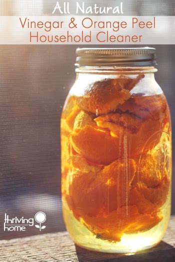 All Natural Orange Vinegar And Orange Peel Household Cleaner Thriving