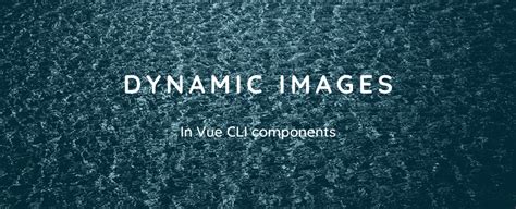 Loading Dynamic Images In A Vue Component JErickson Net