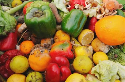 Un Contenedor Lleno De Frutas Y Verduras Podridas Fuera De Un