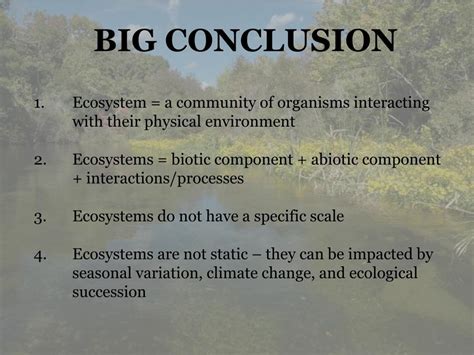 Ppt What Is An Ecosystem Powerpoint Presentation Free Download Id