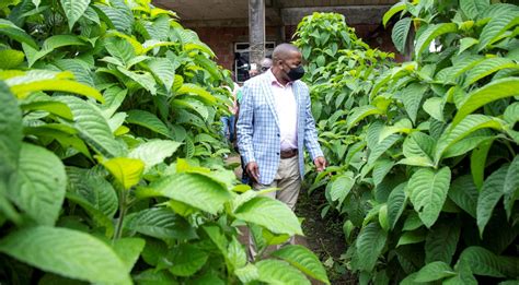 Deadline For Youth Agricultural Homestead Programme Yahp Applications