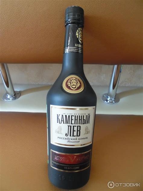 Коньяк "Каменный Лев" - описание, цена и отзыв