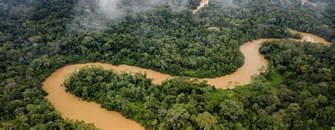 Manu Selva Amazonica Del Peru Parque Nacional De Manu