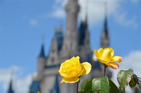 Disney Genie Plus Vs Fastpass Plus A Comparative Look • Trimm Travels