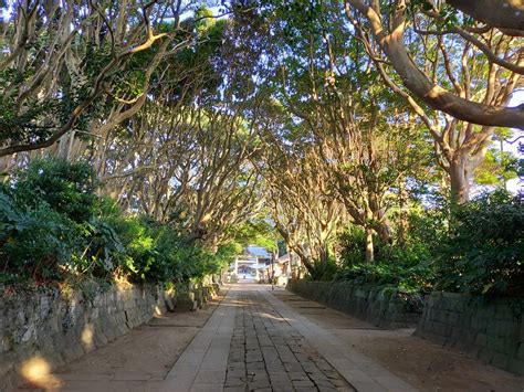 酒列磯前神社andほしいも神社 Leo Roys Diary