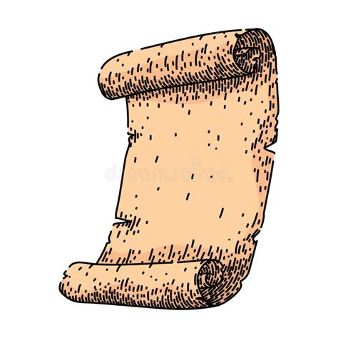 Vintage Scroll Paper Sketch Hand Drawn Vector Stock Vector Illustration Of Frame Parchment