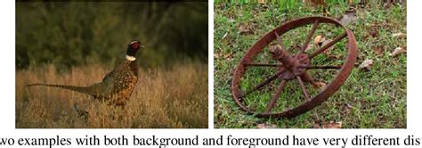 Figure 1 From Background Prior Based Salient Object Detection Via Adaptive Figure Ground