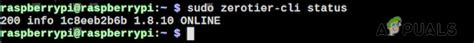 Zerotier Installation Guide How To Install And Use Zerotier