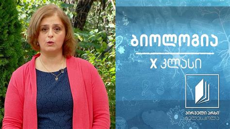 ბიოლოგია X კლასი ნუკლეინის მჟავები დნმ და რნმ ტელესკოლა Youtube