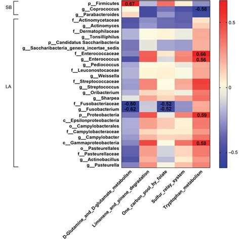 Pearsons Correlation Analysis Of Microorganisms And Signal Pathways In Download Scientific